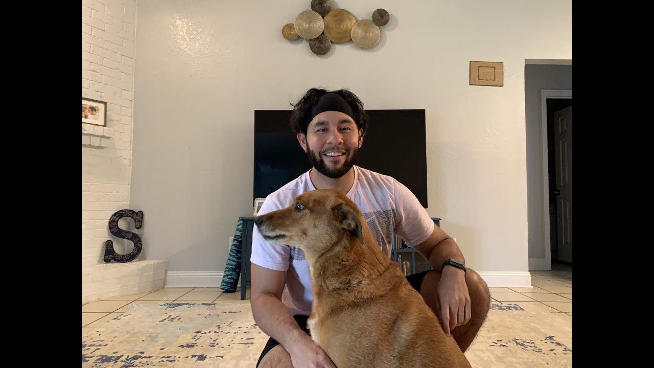 PE at Home (Animal fitness) - YouTube