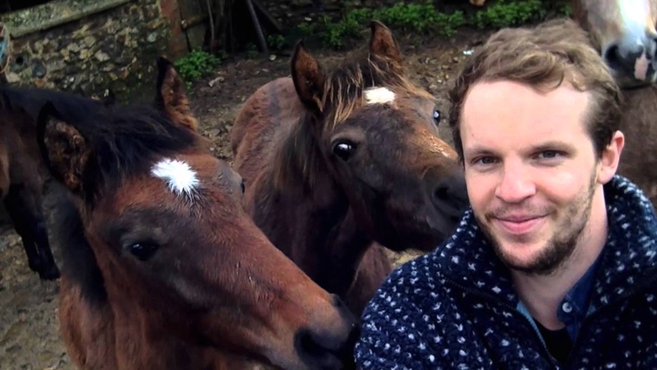 Combe Farm 01.2016 - YouTube