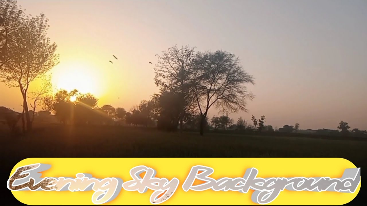 All Birds Fly Sounds | Flock Bird SFX | HQ Effects - YouTube