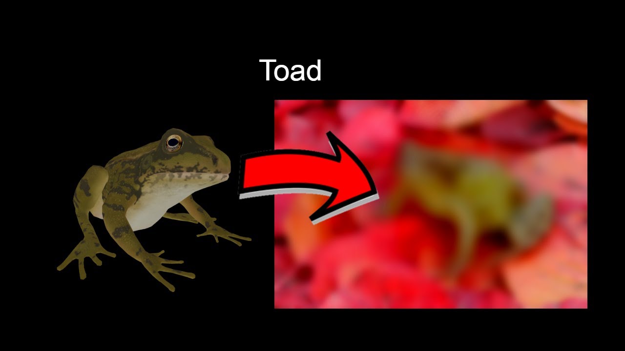 All Smalland bugs in real life - YouTube