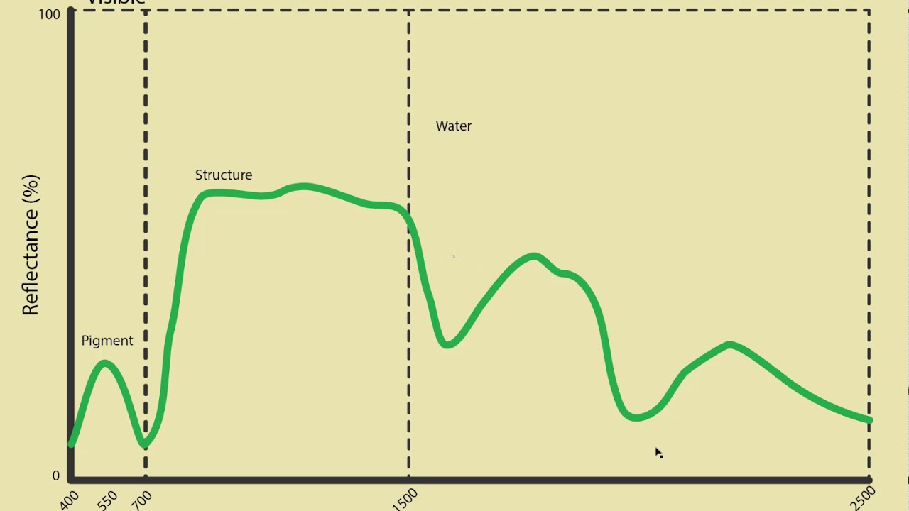 Spectral Signatures - Unhealthy Vegetation - YouTube