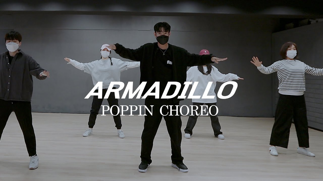 Balming Tiger - Armadillo POPPIN choreo l POPPIN BASIC CLASS - YouTube