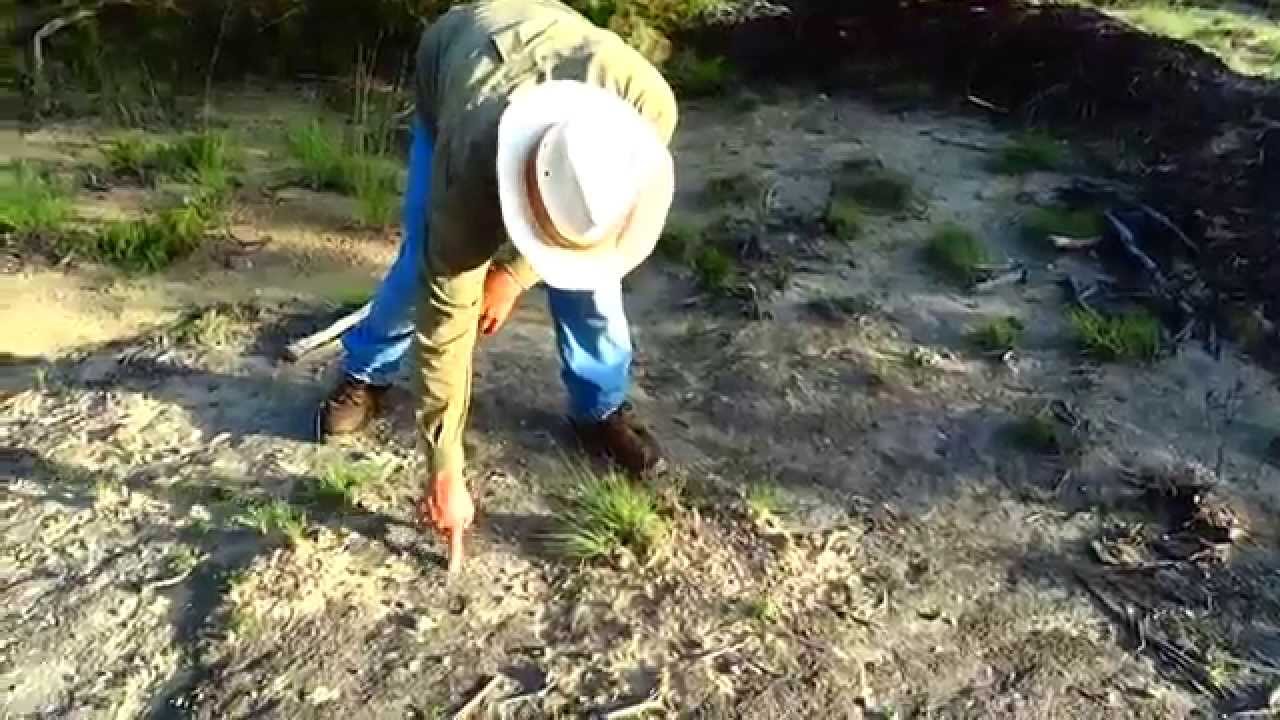 Series of Contour Berms - YouTube