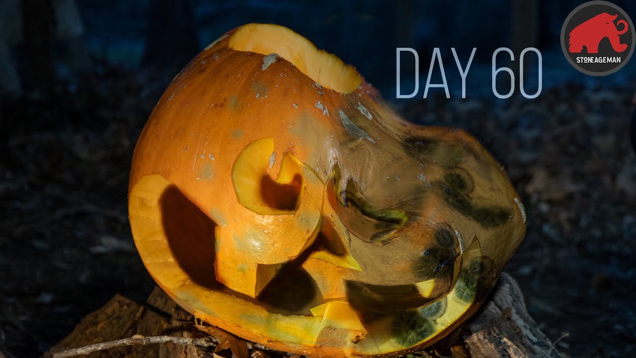 This Pumpkin Decomposes in Epic Timelapse - YouTube
