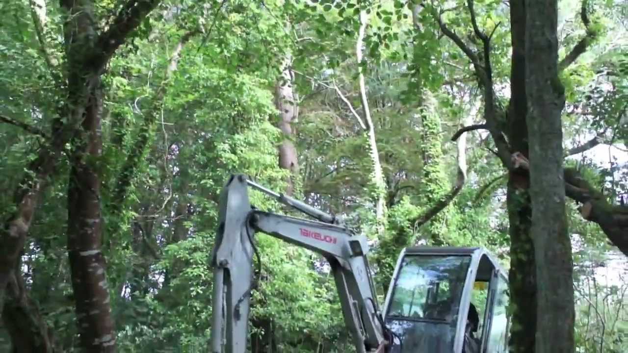 digger vs tree - YouTube