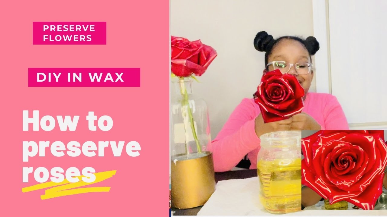 How to preserve flowers - preserved roses DIY in wax. - YouTube