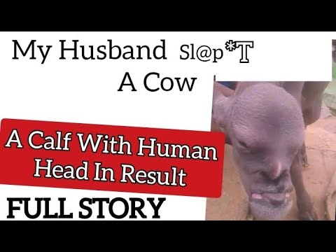 Ritualist Uses Cow_Calf With Human Head Resulted _African confessions ...