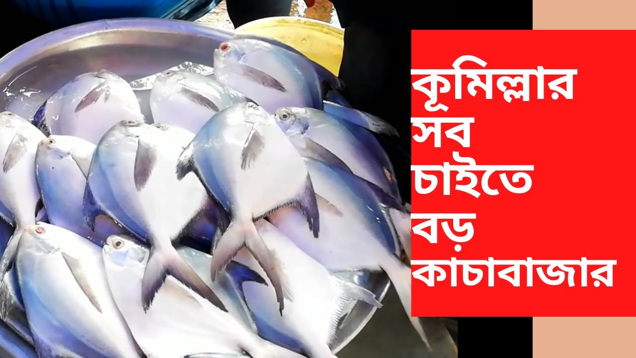 Comilla travel day 2/Comilla bazar/rajgonj kacha bazar/comilla - YouTube
