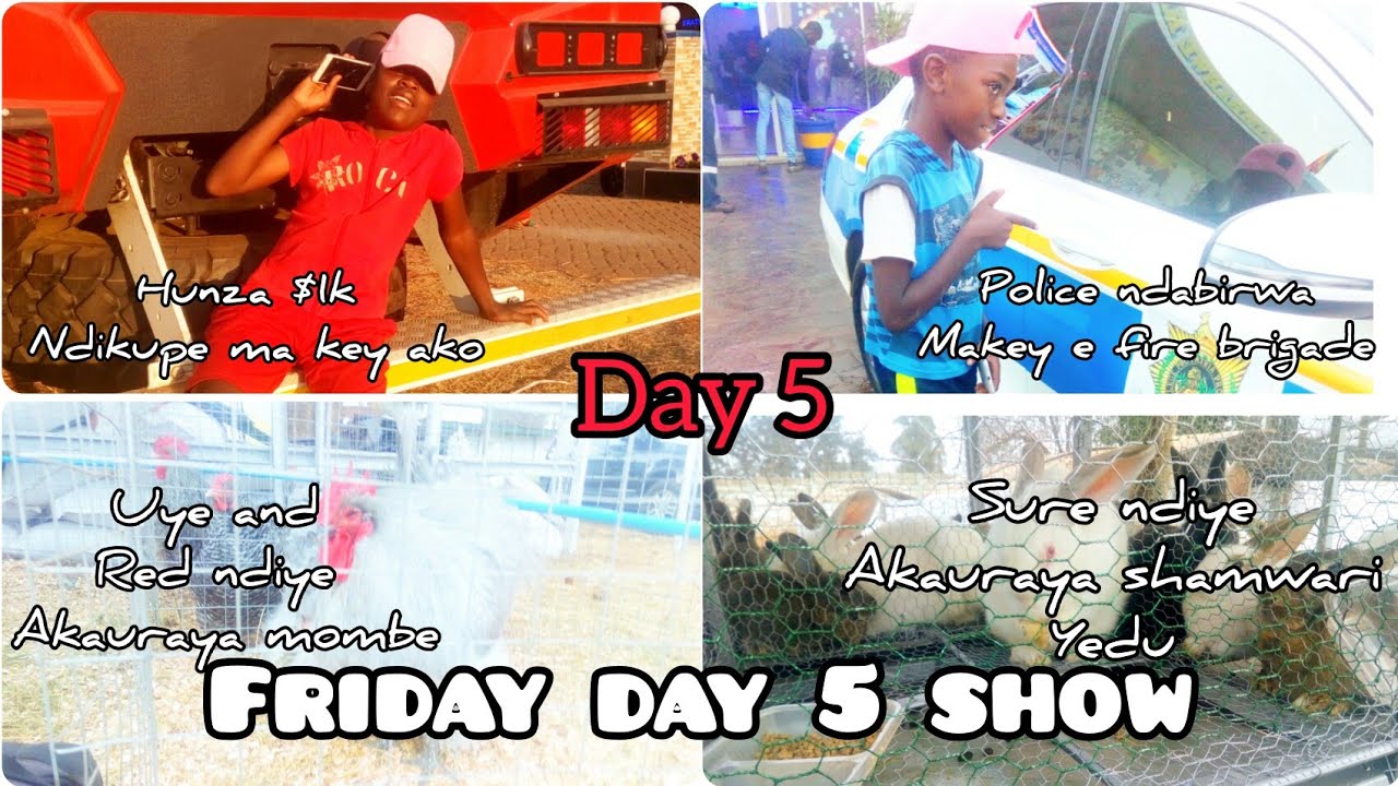 Day 5 show (zim comedy) 2023 - YouTube