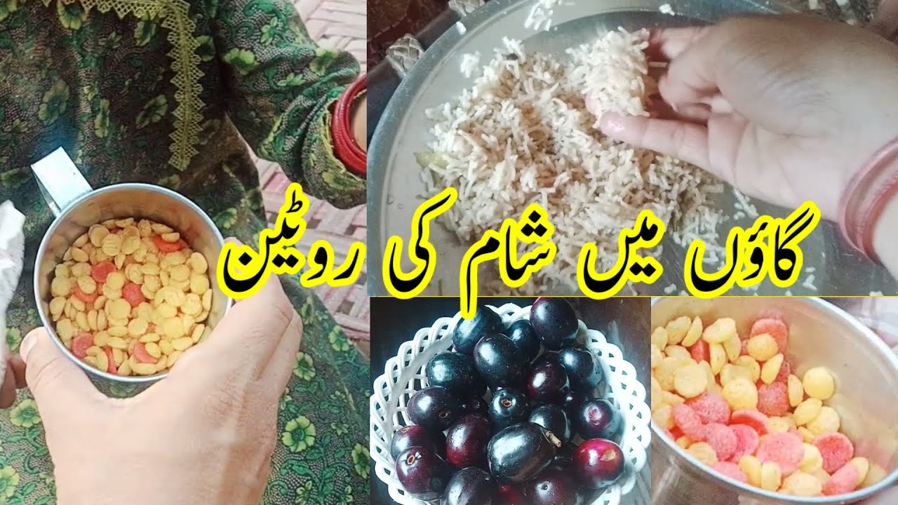 Gaon m sham ki routine|village sham|sallar village|village cooking ...