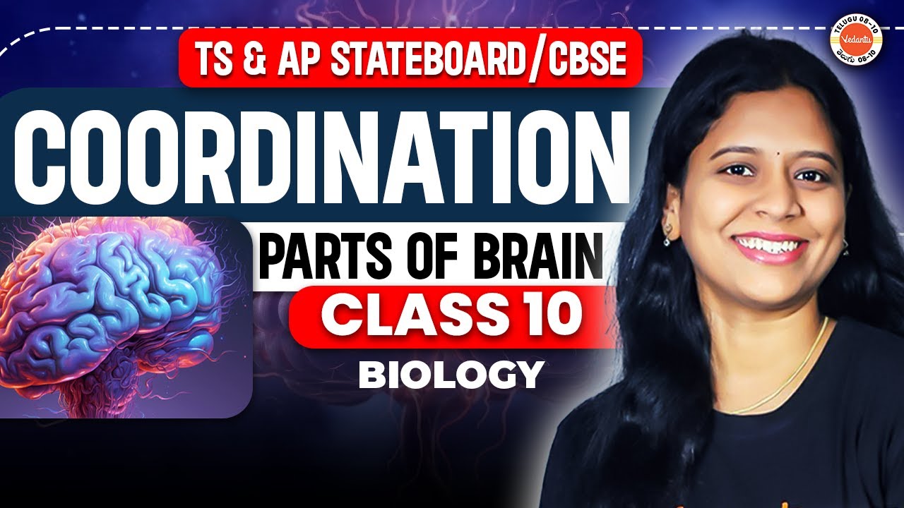 PARTS OF BRAIN | Coordination | Class 10 Biology|TS & AP Stateboard ...