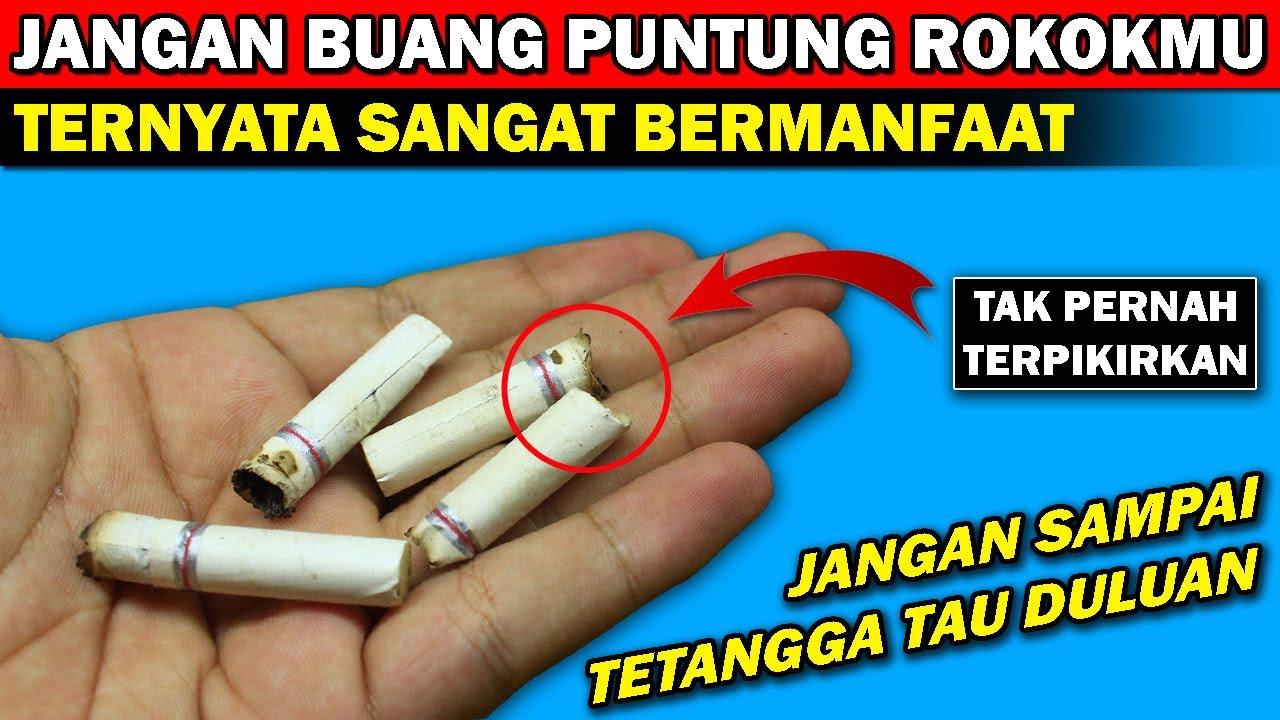 SETELAH NONTON INI SEMUA ORANG LANGSUNG CARI PUTUNG ROKOK BEKAS - YouTube