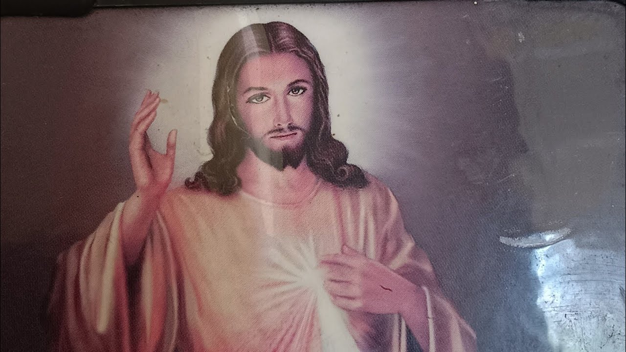 Anna Rose vlogs is live! - YouTube