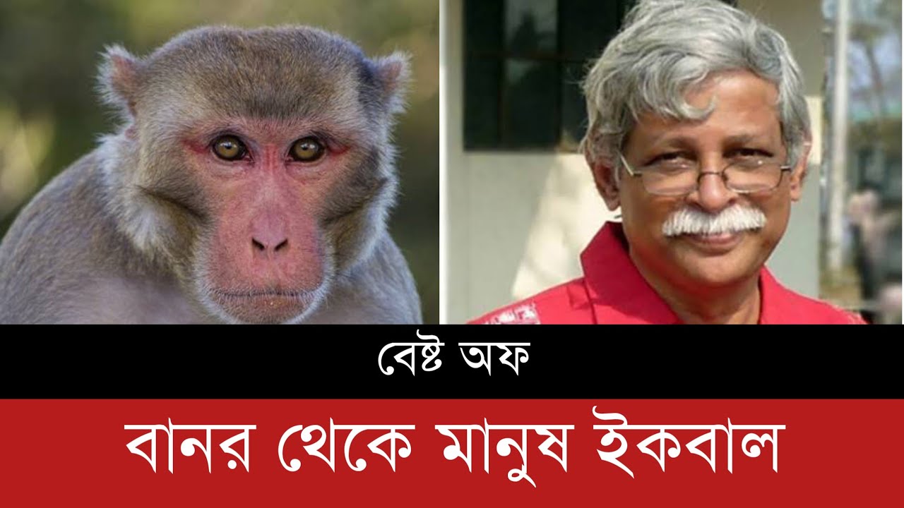 বেষ্ট অফ বানর থেকে মানুষ ইকবাল | banor theke manush kivabe holo - YouTube