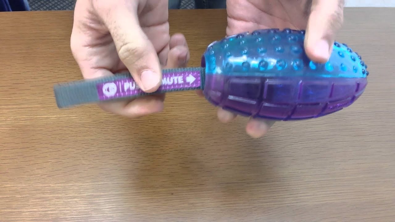 "Push to Mute" Dog Toy - YouTube
