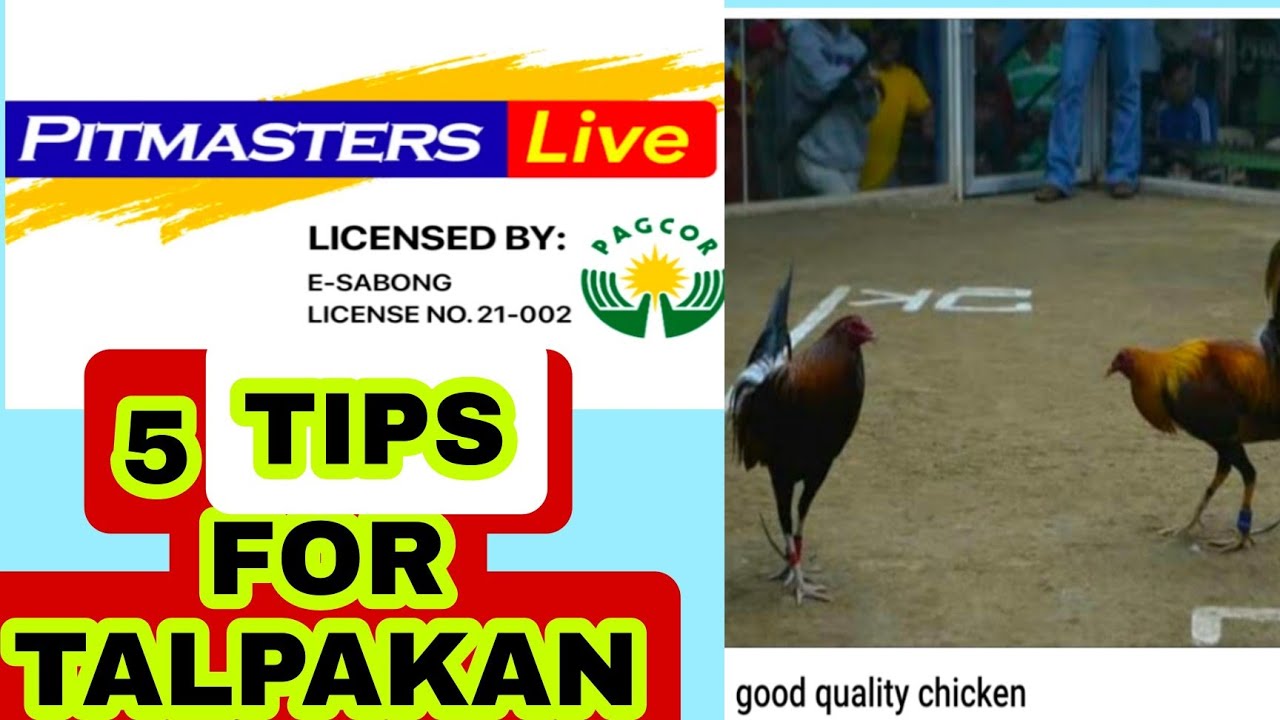 talpakan tips and tricks|pet Master TEPS|online sabong tips ...