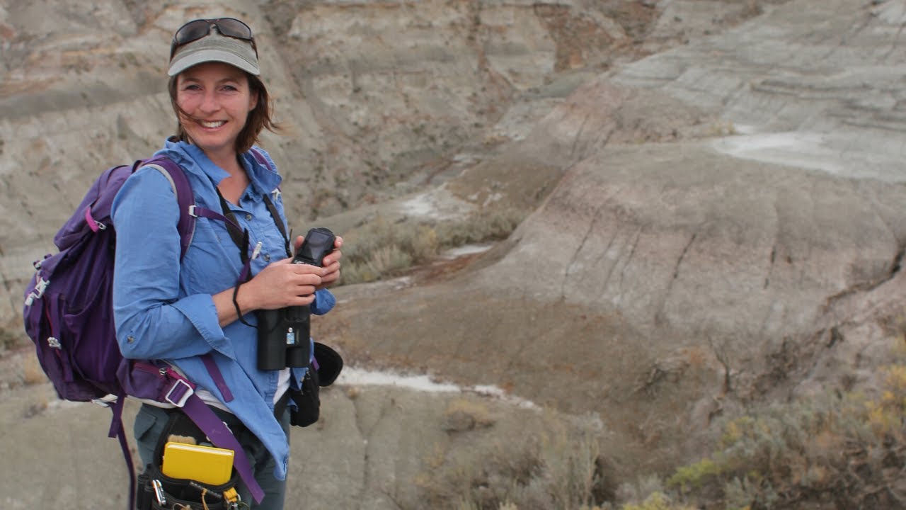 Using Trace Fossils to Reconstruct Palaeoenvironments - YouTube