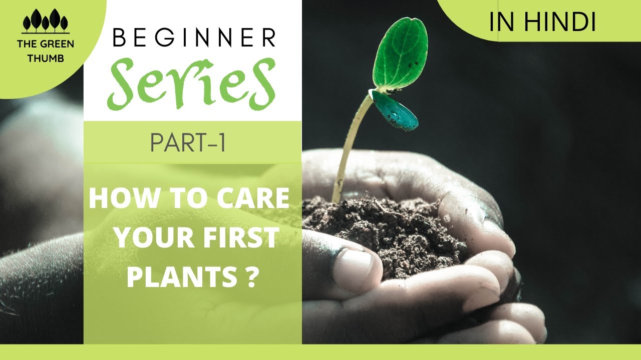 Gardening Basics| Beginner's series part 1| Lakshya|The Green Thumb ...