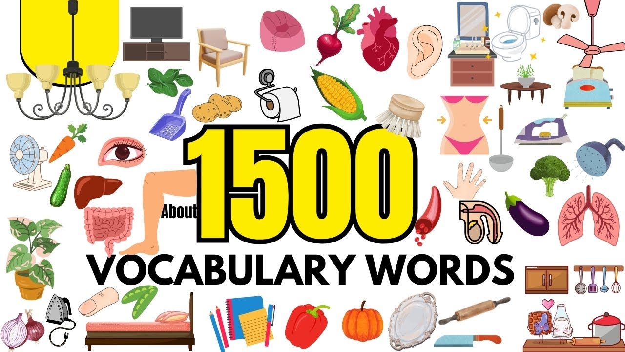 Top 1000 English Vocabulary For Beginners With picture | English ...