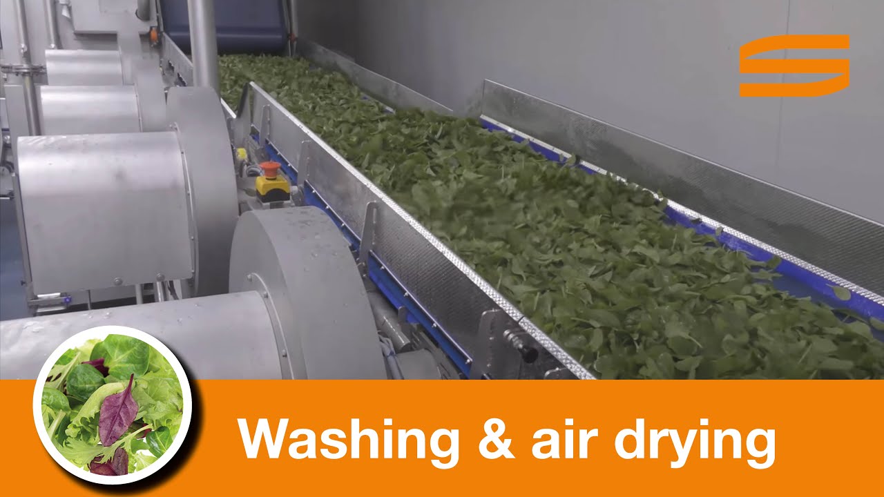 Spinach washing and air drying line - Sormac - YouTube