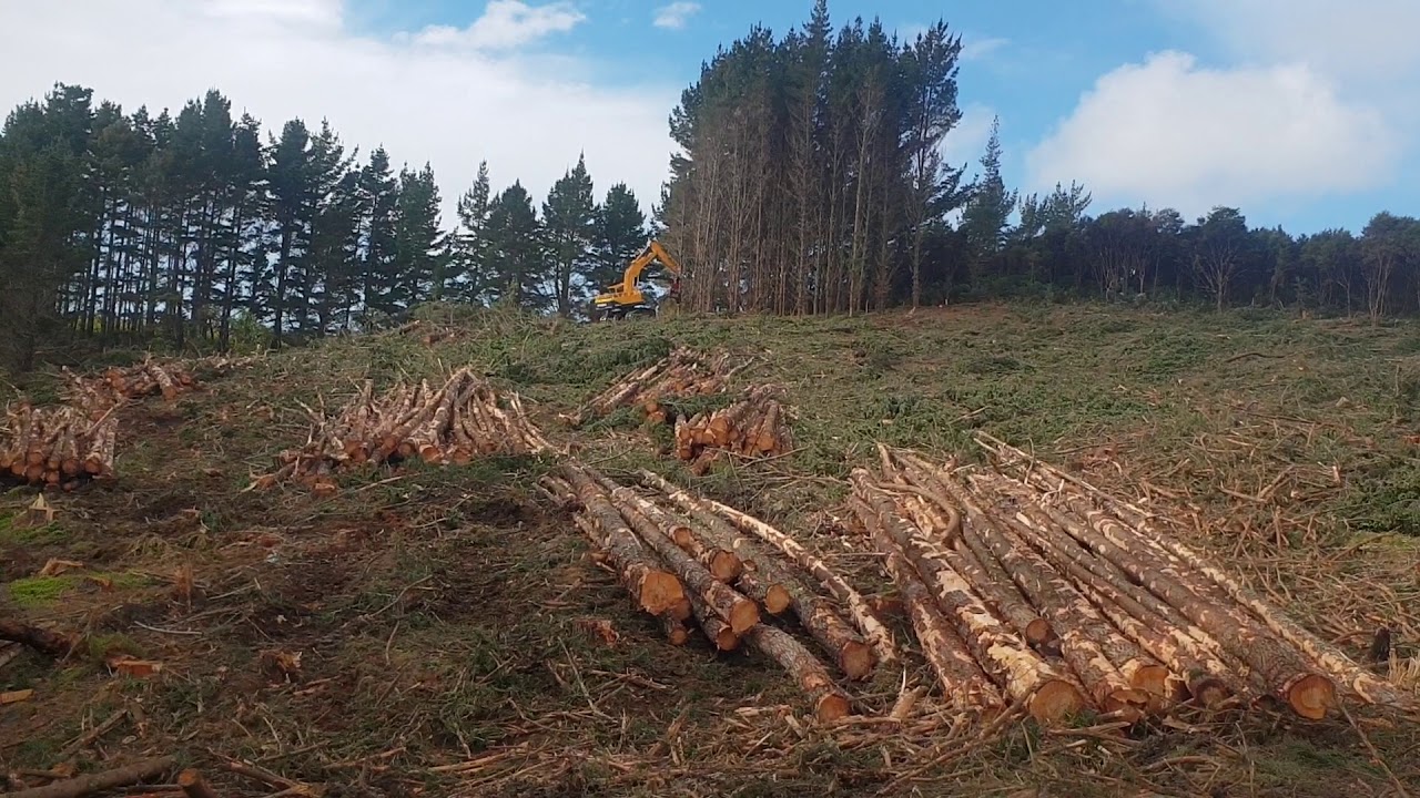 NZ Logging - YouTube