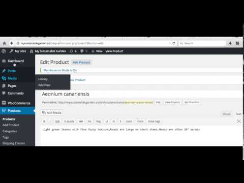 ecomerce site - uploading products 2 - YouTube