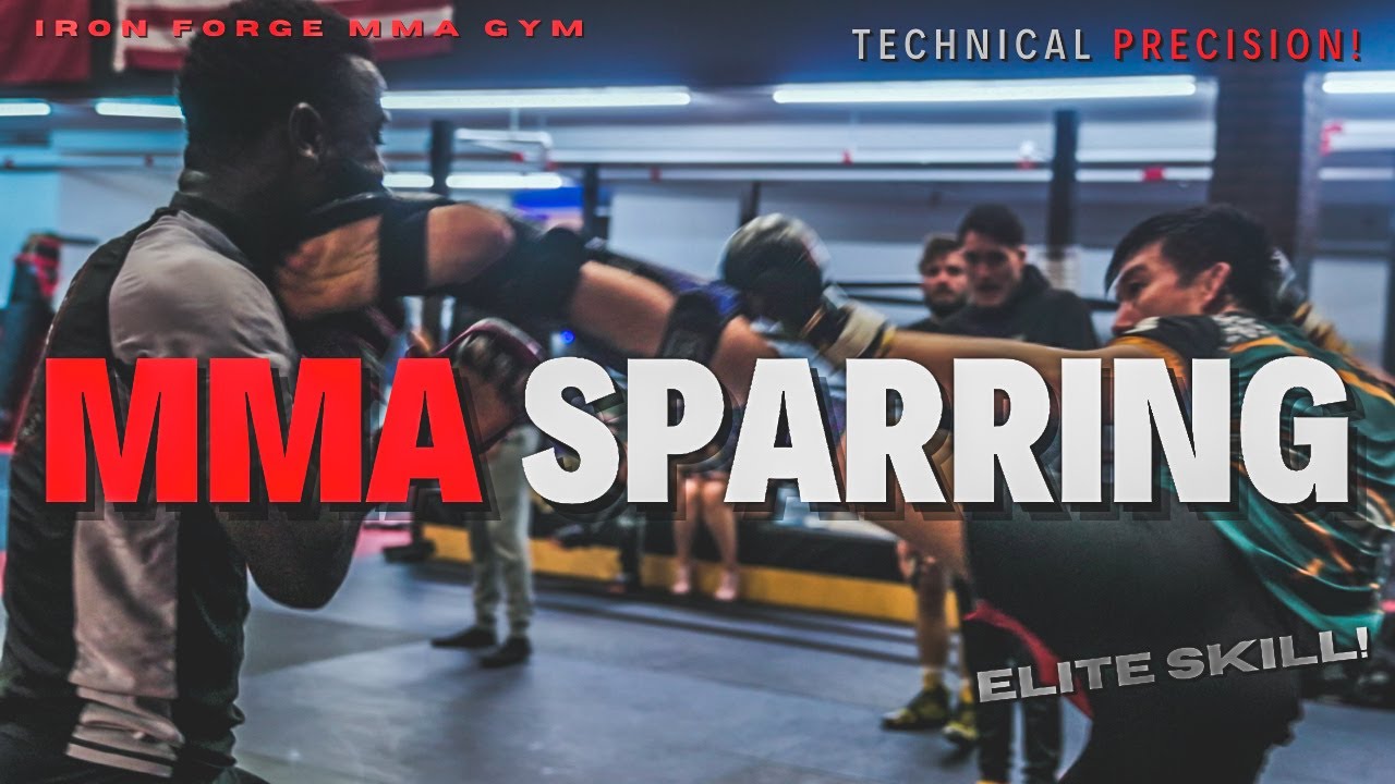 ELITE MULTI GYM MMA SPARRING! | IRON FORGE GYM #boxing #muaythai #mma # ...