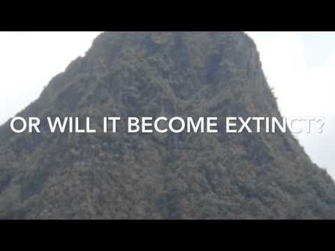 Yellowstone Documentary