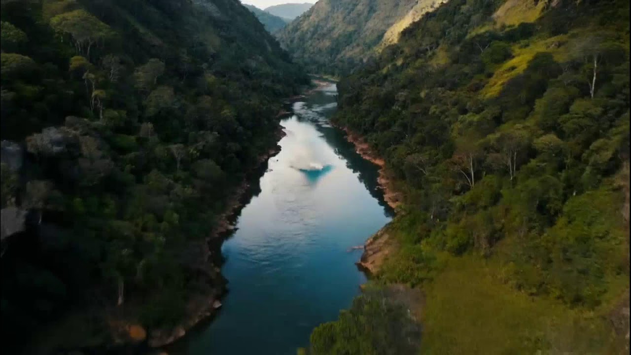 Reggae Lovers Journey | Romantic Voyage 2025 💑 - YouTube