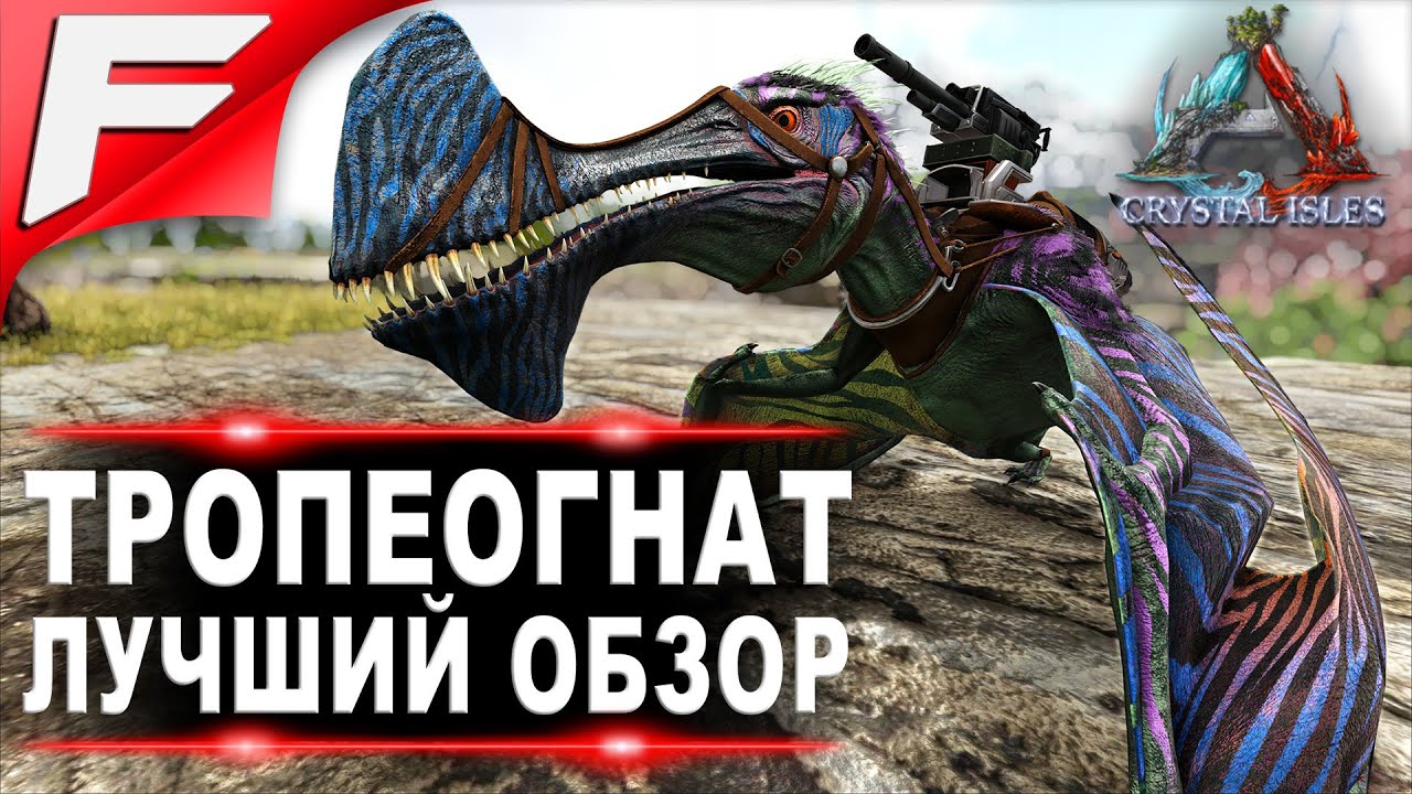 Тропеогнат (Tropeognathus) в ARK. Лучший обзор: приручение, разведение ...