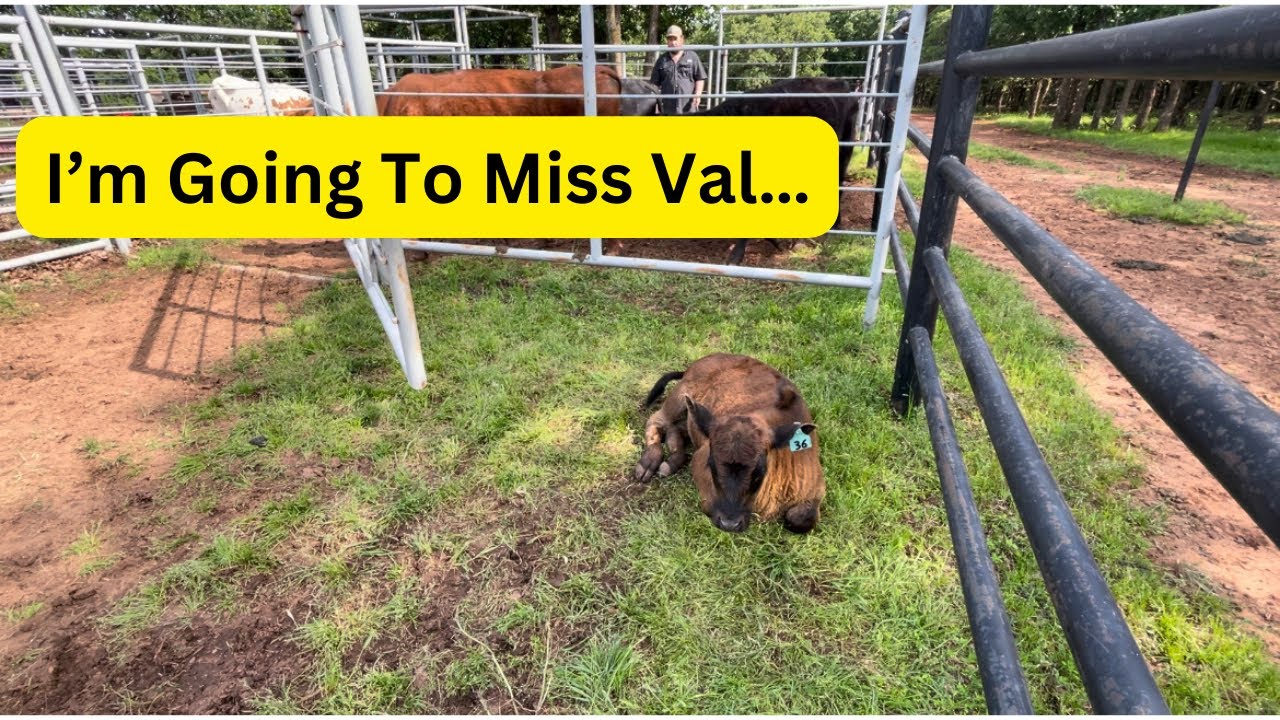 I’m Going To Miss Val… - YouTube