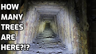 Exploring Abandoned Mines - YouTube