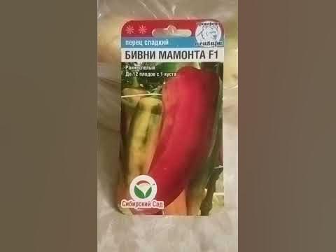 🌶🌶 Перец Бивни мамонта 🌶🌶 - YouTube