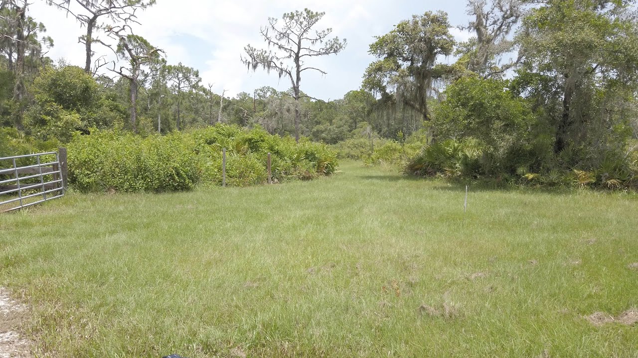 Siesta Key Chapel Broadcast 7/12/2020 - YouTube