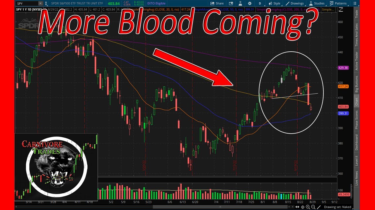 Stocks Pause After Friday Bloodbath, More Downside To Come? - YouTube
