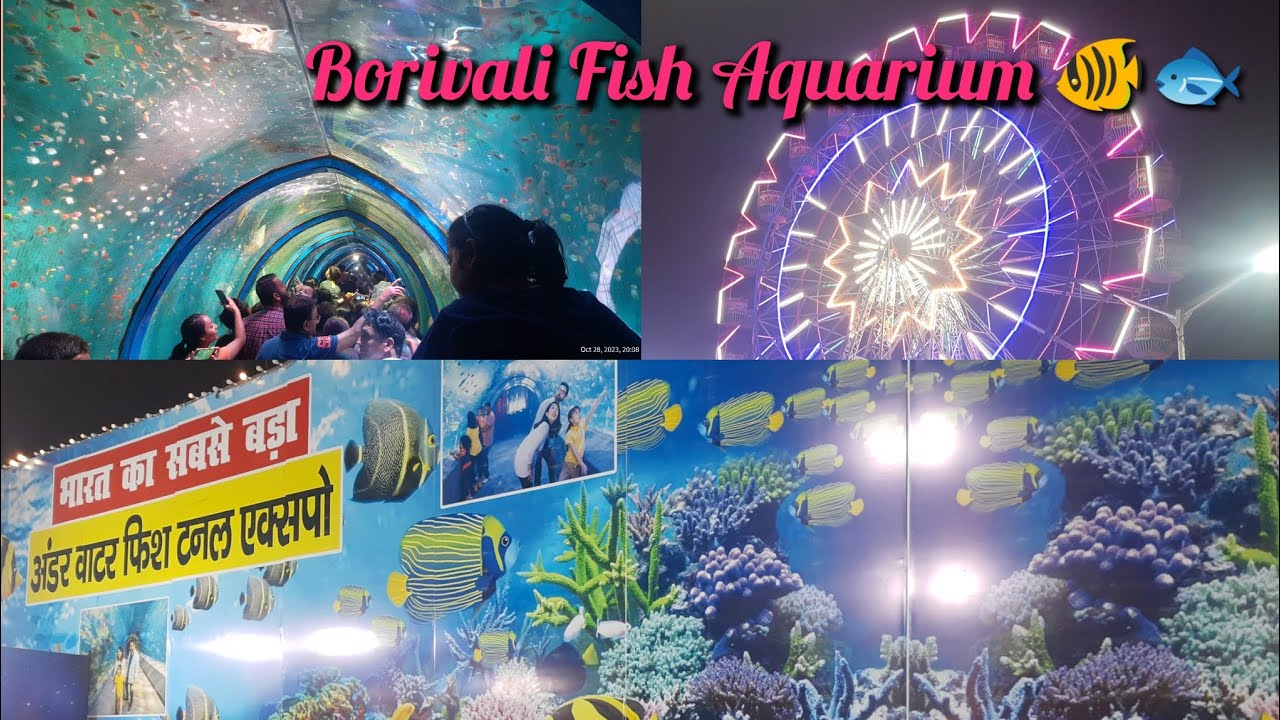 Borivali Underwater Fish Aquarium 🐠#aquarium - YouTube