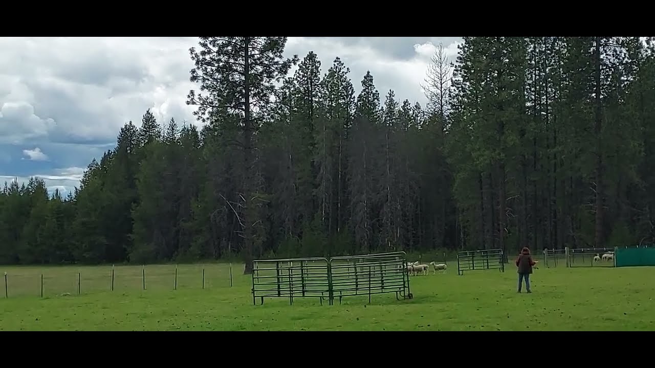 Peg 5/30/24 - Moon Creek - YouTube