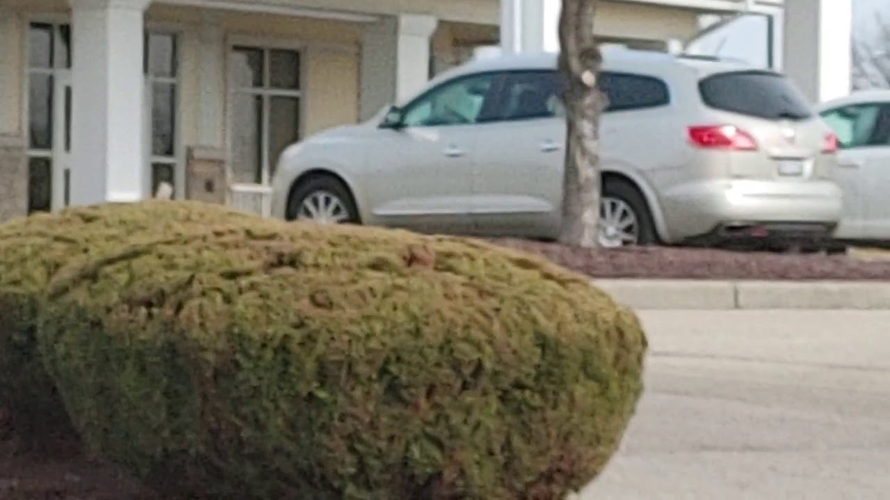 Dr. Pechin is a bully, in Shipshewana Indiana - YouTube