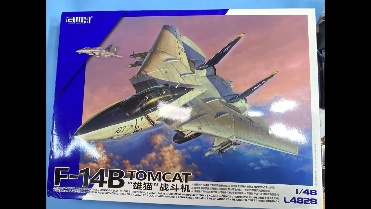 Sprue Review New Tool Great Wall Hobby 1/48 F-14B Tomcat - YouTube