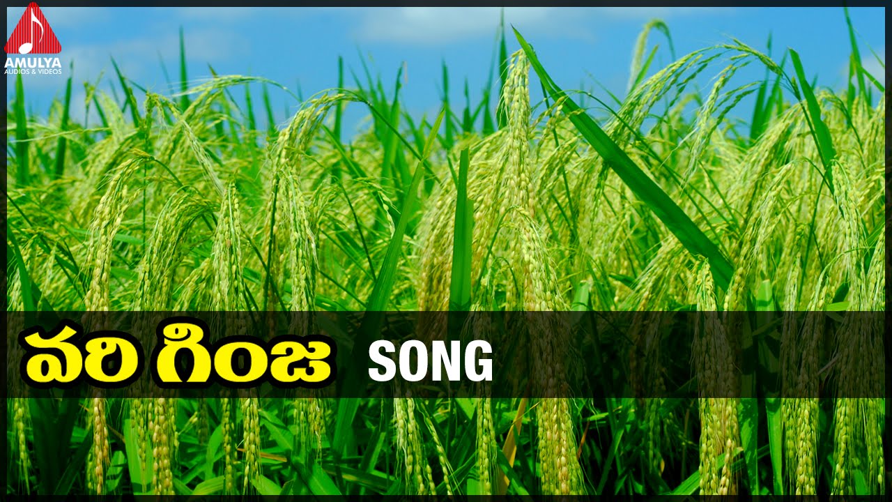 Vari Ginja Telugu Song | Matla Tirupathi | Telangana Folk Songs ...