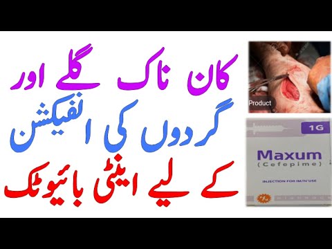 Kaan Naak Gally aur Gordon ki infection k liey antibiotic Maxum ...