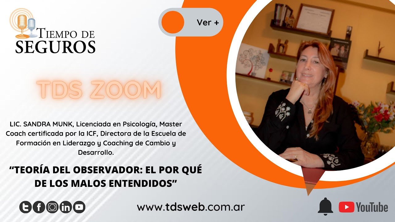 TDS ZOOM: Teoría del observador: El por qué de los malos entendidos ...
