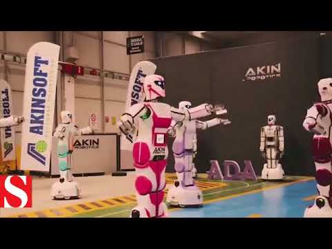 ´Erik Dalı´ oynayan robot yaptılar