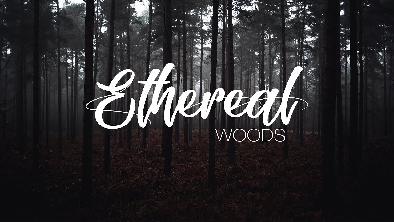 Ethereal Woodlands - Cinematic Film - YouTube