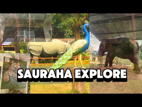 CHITWAN SAURAH EXPLORE - YouTube