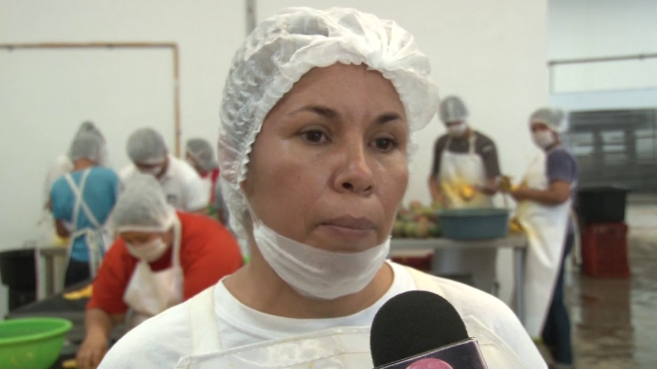 El mango fruta con alta producción en Sinaloa - YouTube