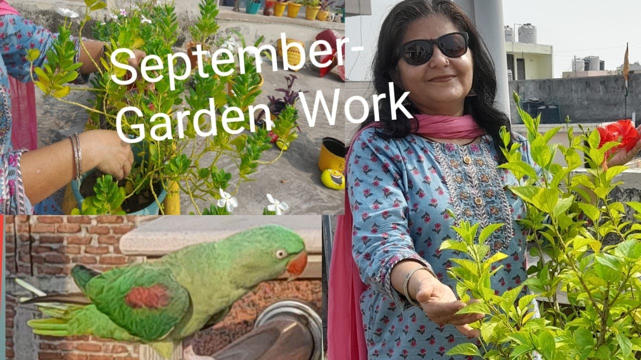 September - Garden Work - YouTube