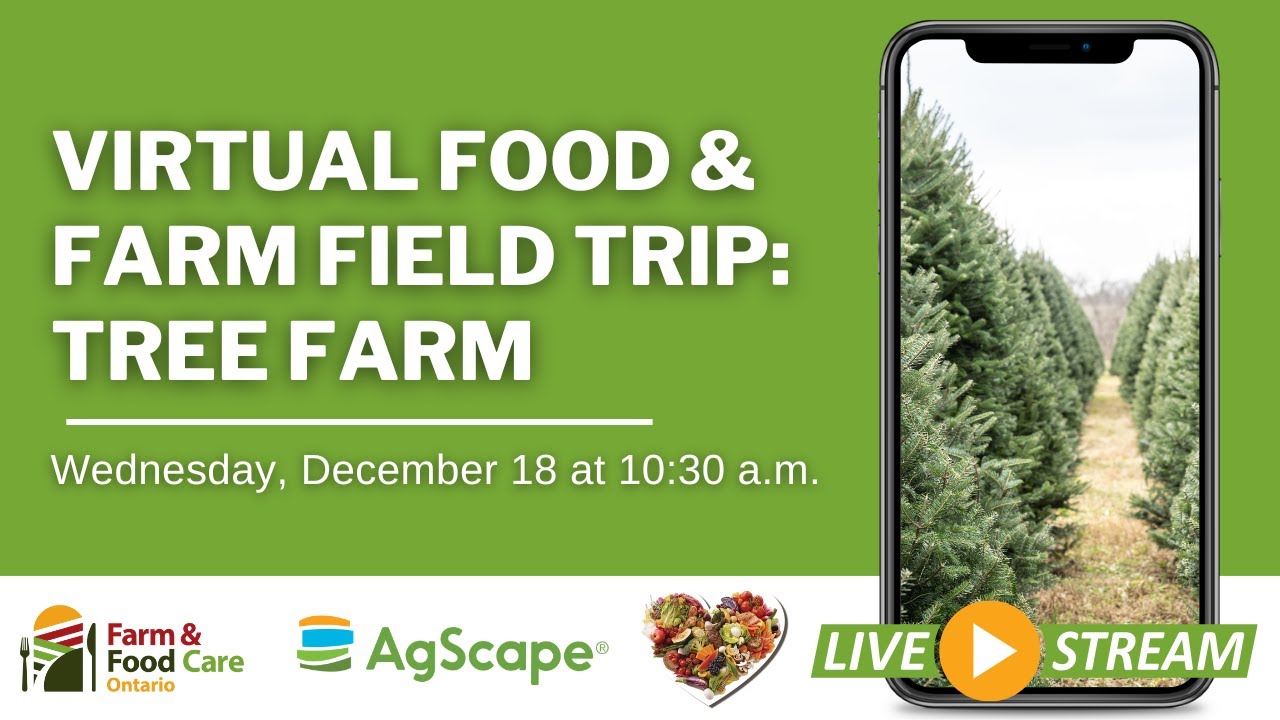 Tree Farm Virtual Food and Farm Field Trip - YouTube