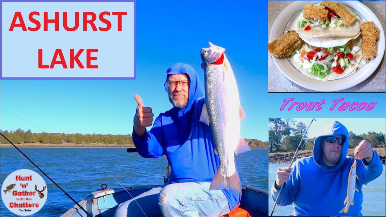 ASHURST LAKE FISHING - Trout Tacos! - Rainbow, Pike & Tiger Trout - 30 ...