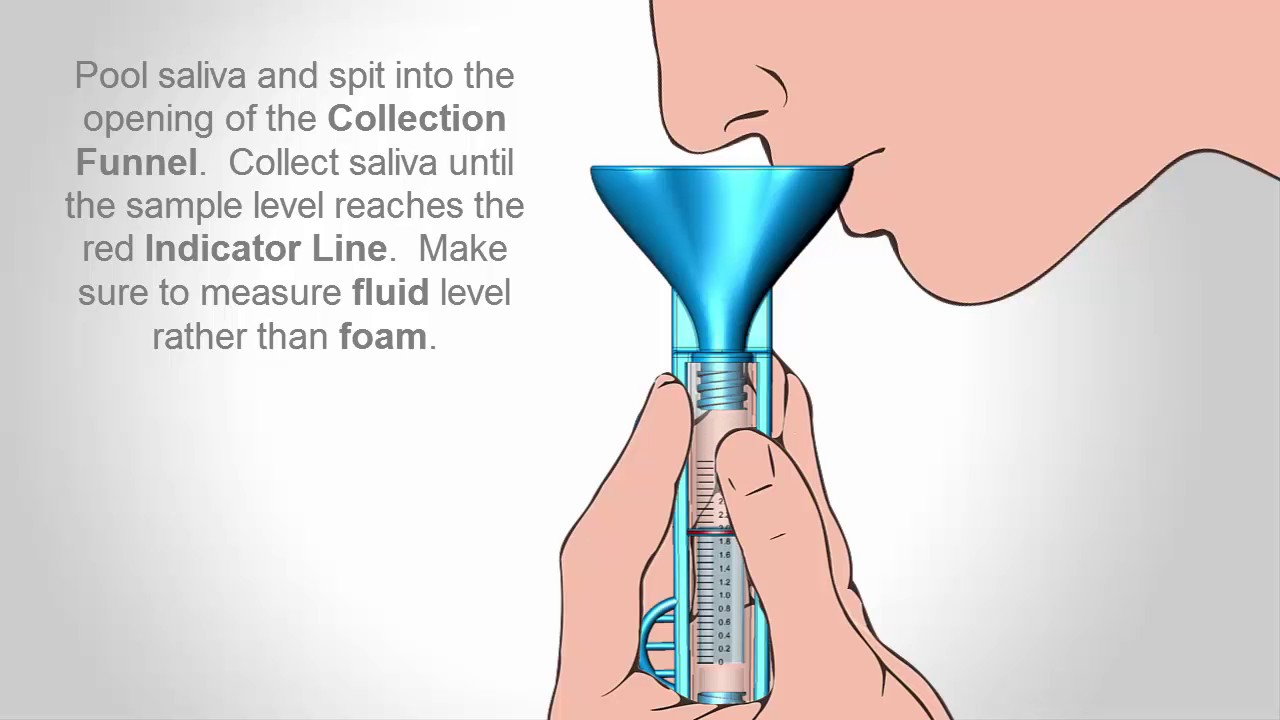 Unstimulated Salivary Flow Rate Test at Zac Ayers blog